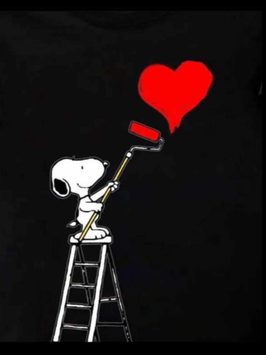 Über unsere Strassenhunde - High-Smile Antalya